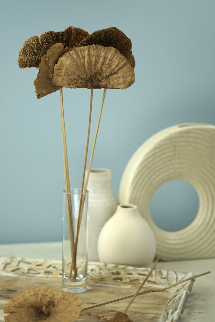 Bleached Italian ruscus – FlowerFantaSee