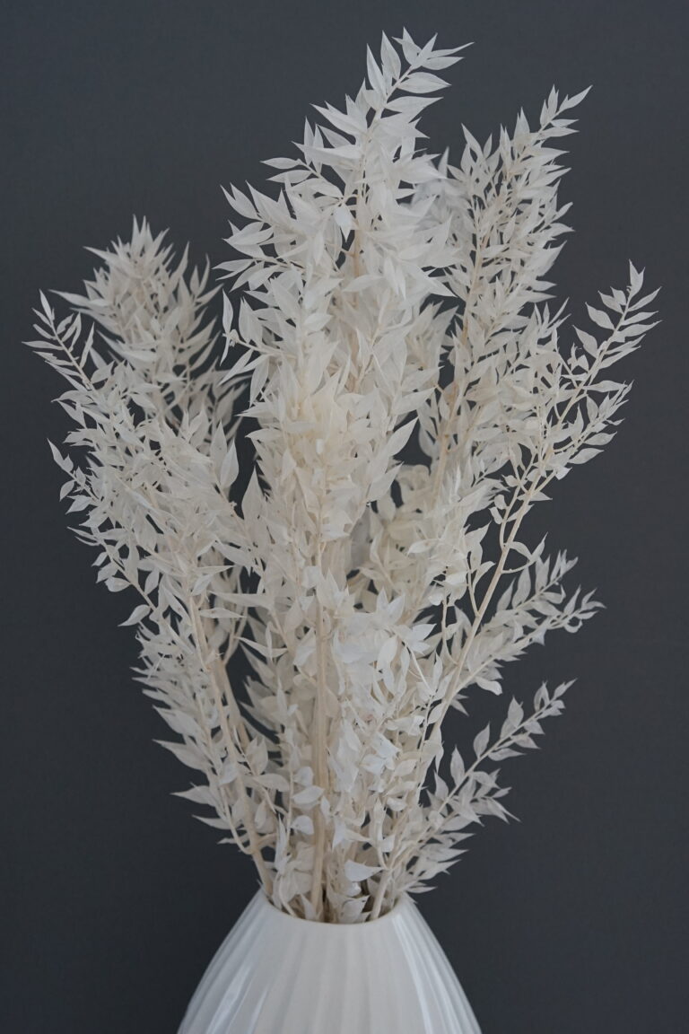 Bleached Italian ruscus – FlowerFantaSee