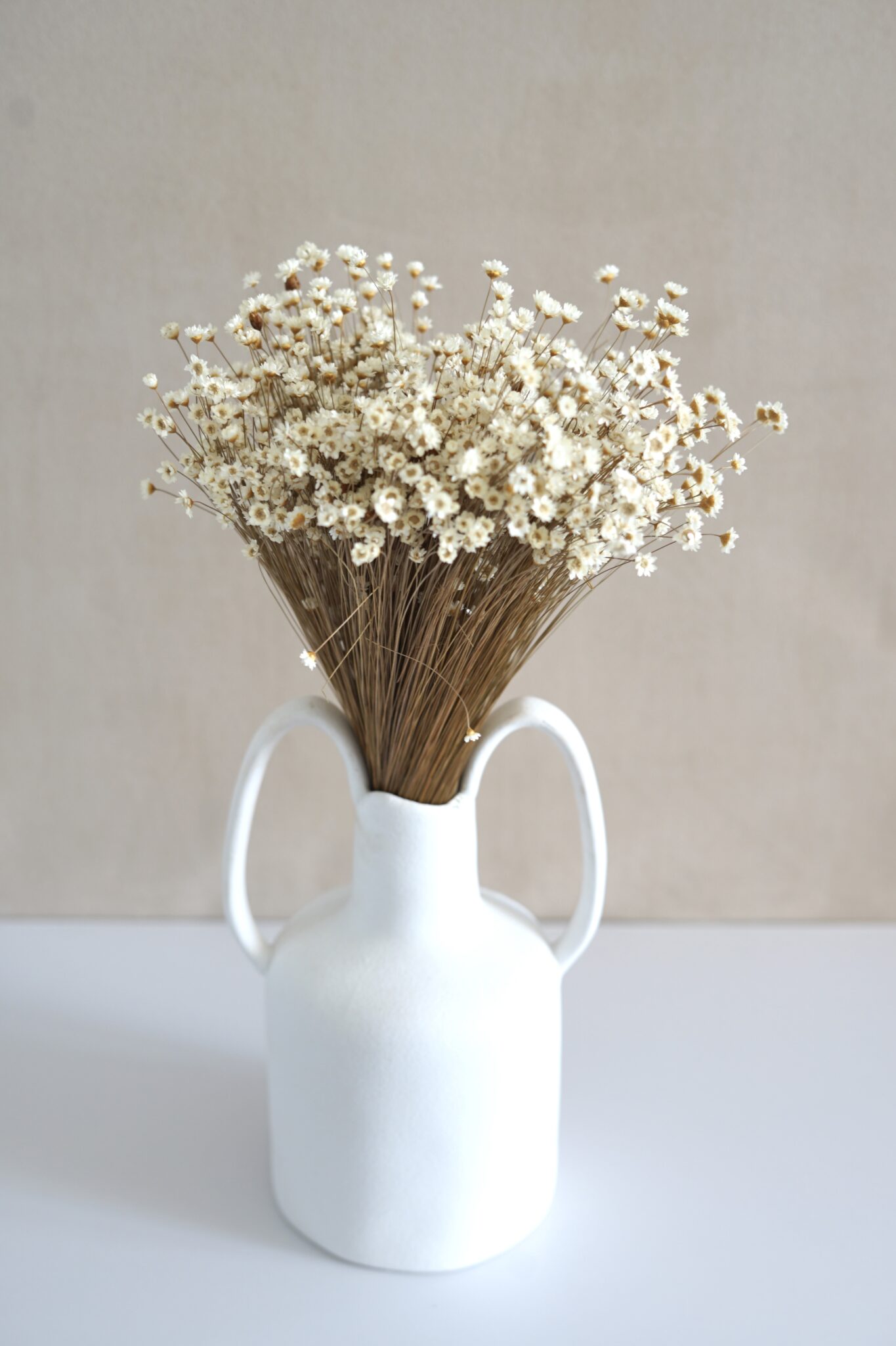 Bleached Lagurus Flowers – FlowerFantaSee