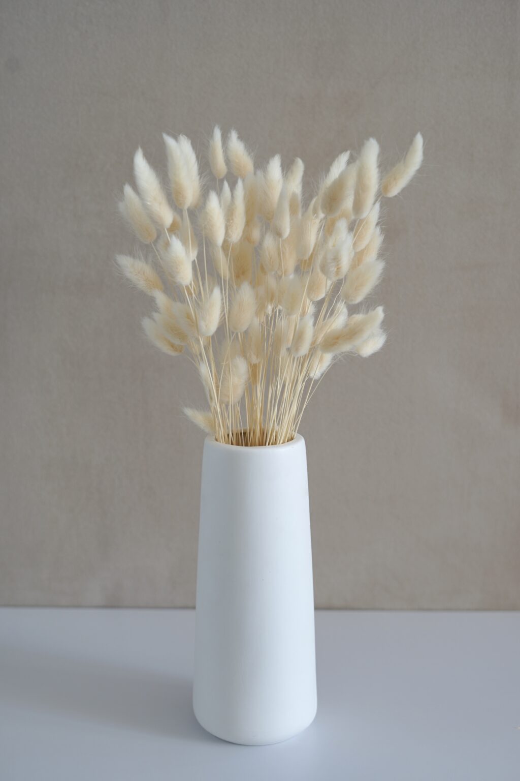 Bleached Lagurus Flowers – FlowerFantaSee