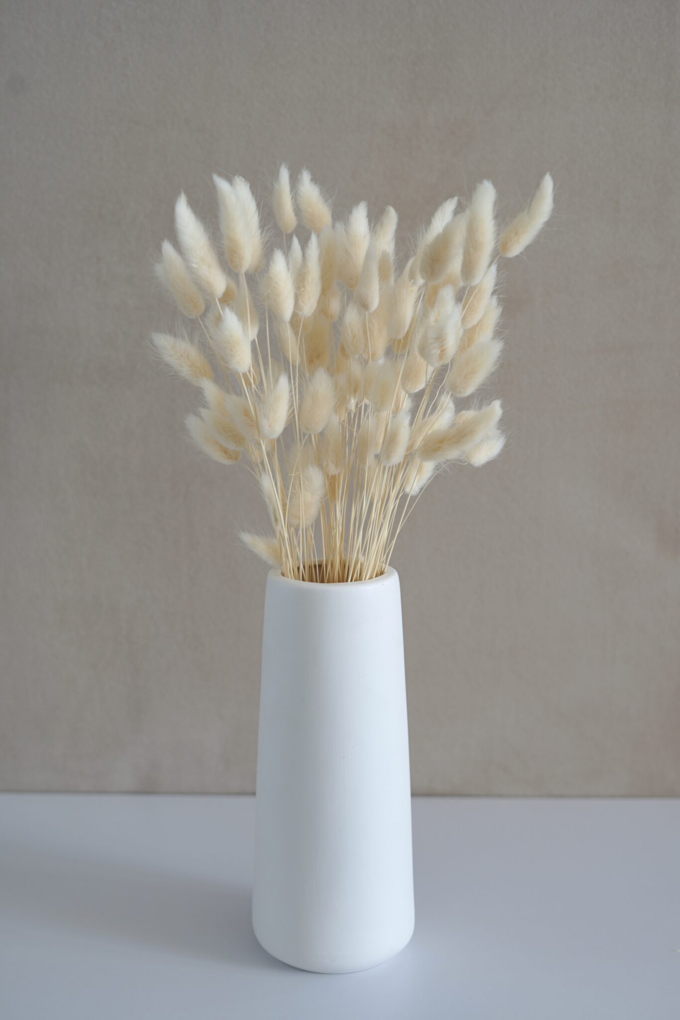 Bleached Lagurus Flowers – FlowerFantaSee